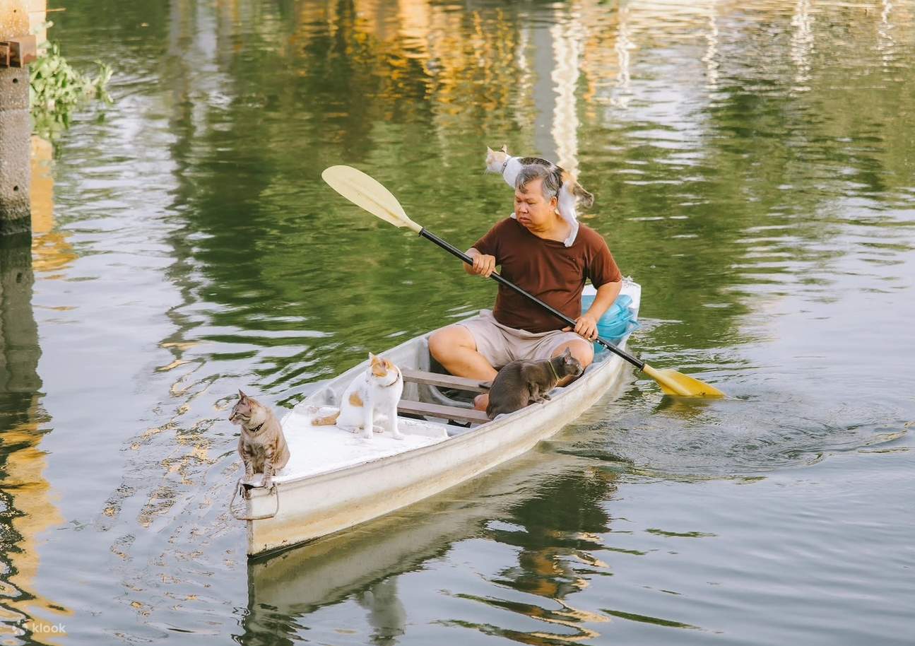 Cat boat & sunset in Bangkok - Klook Australia